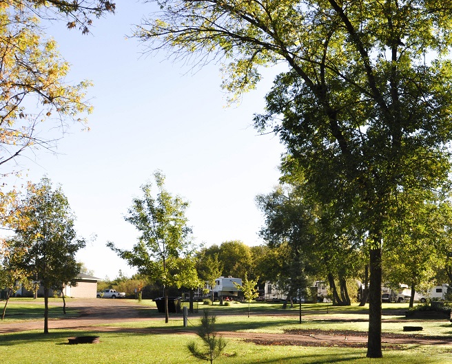 The Shop N Save Shopping Show